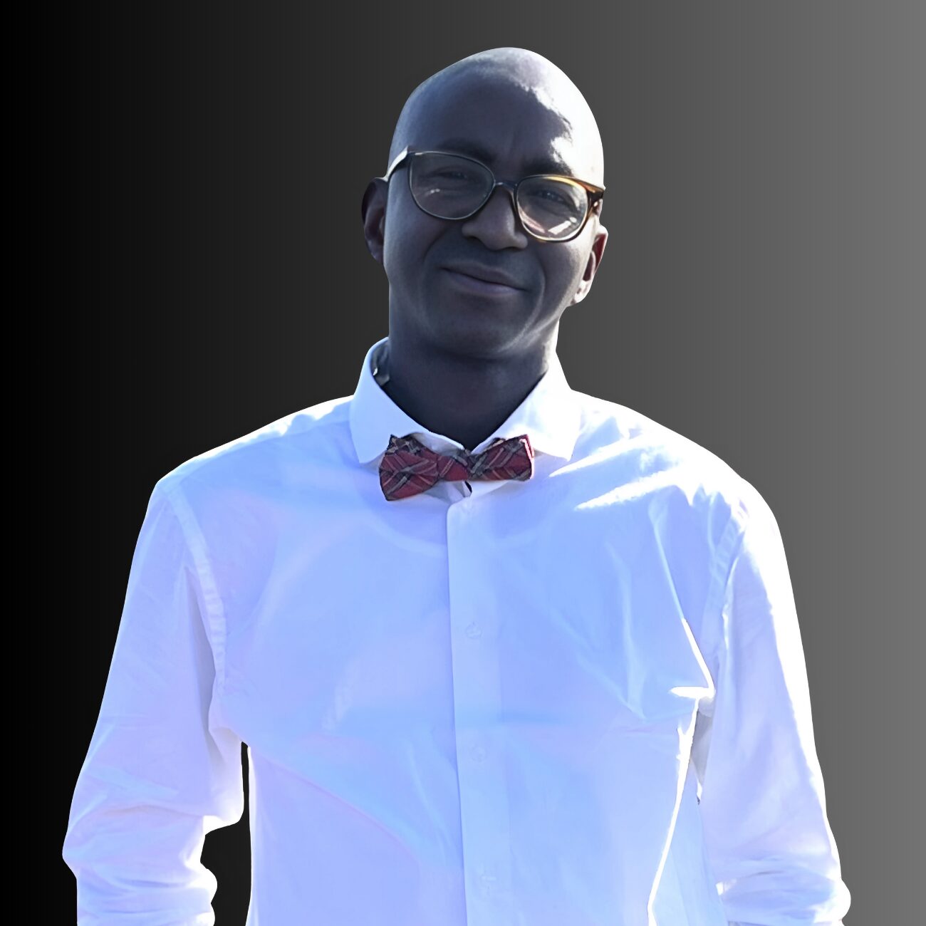 About Us - African Canadian Civic Engagement Council